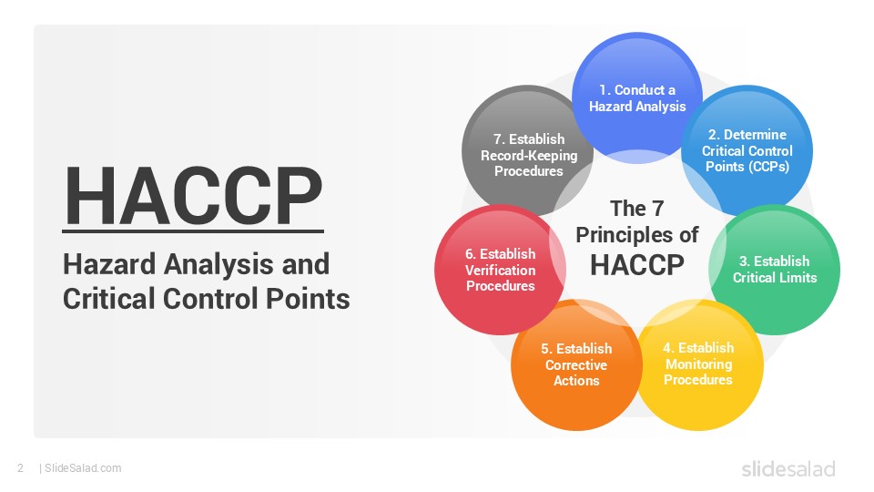 HACCP Google Slides Template Designs - SlideSalad