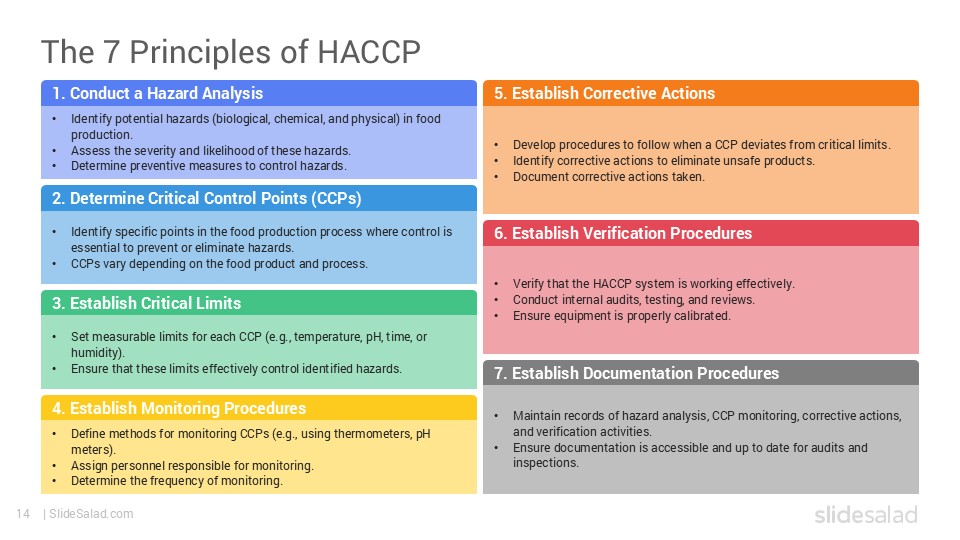 HACCP Google Slides Template Designs - SlideSalad