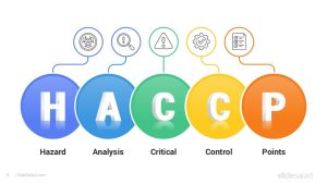 HACCP PowerPoint Template Designs - SlideSalad
