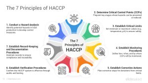HACCP PowerPoint Template Designs - SlideSalad
